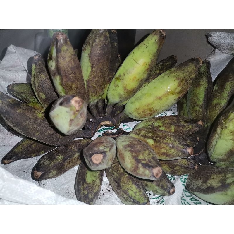 PISANG KELAT ABU PUTIK 1KG | Shopee Malaysia