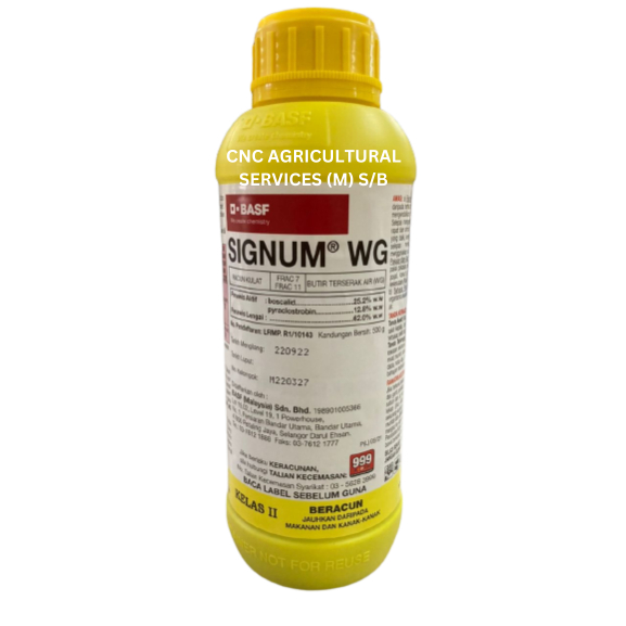 500GM Signum WG BASF Pyraclostrobin + Boscalid Racun Kulat Chili Limau ...