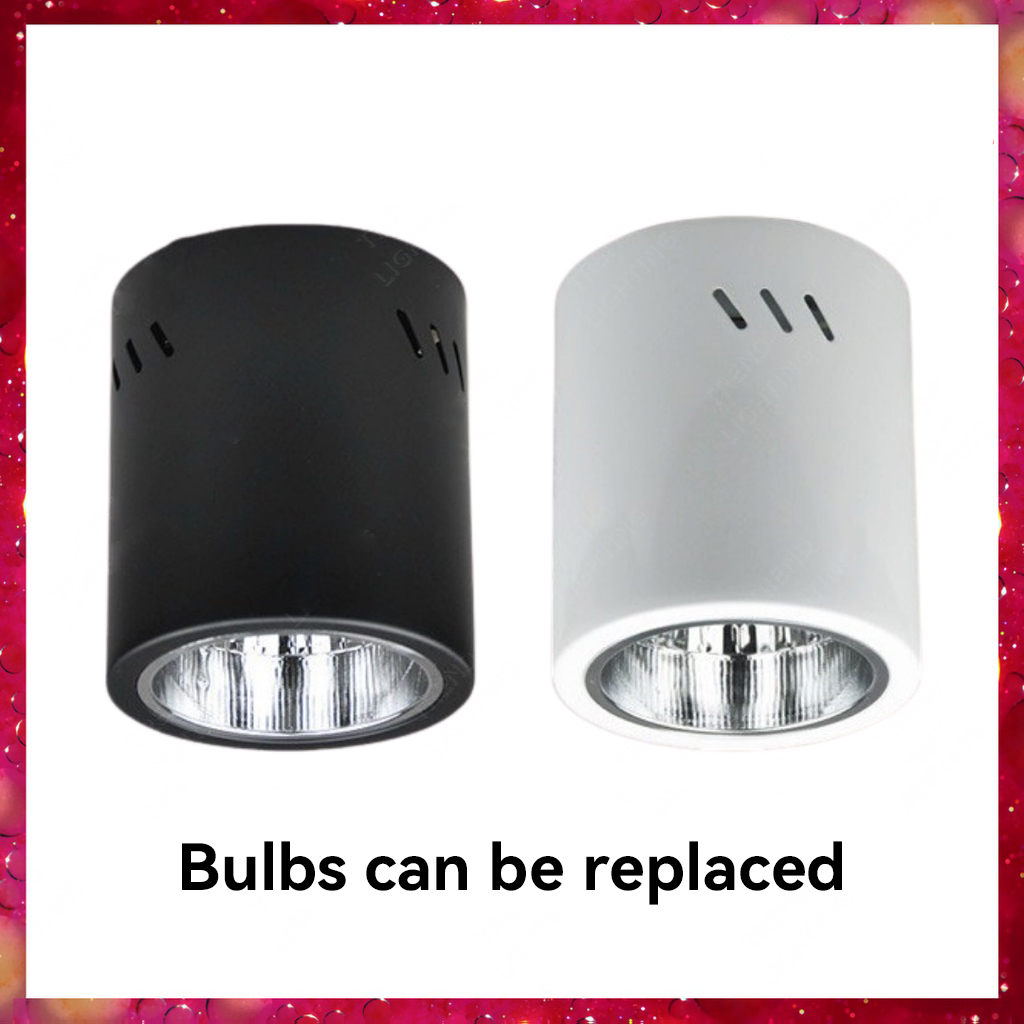 Surface Mounted Downlight 4 inch Replaced Bulb Ceiling Light Spot Light ...