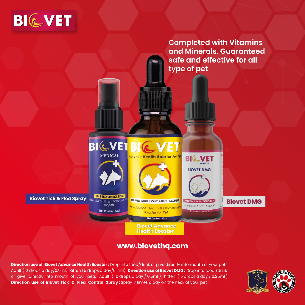 Original HQ Biovet DMG &Biovet Advanced Health Booster , Biovet Chubby Booster Cat Supplement ...