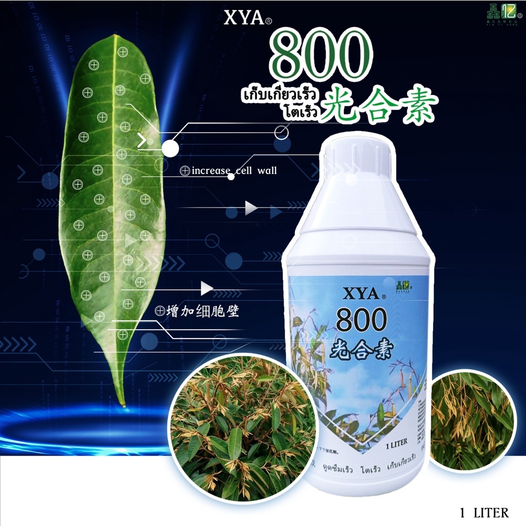 XYA 800 -INCREASE CELL WALL- 1 LITER | Shopee Malaysia