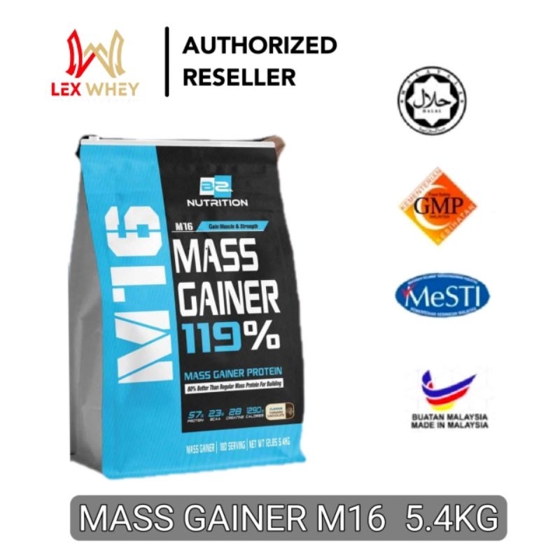 BSFN Mass Gainer M16 5.4KG(build muscle) (expired date August 2025 ...