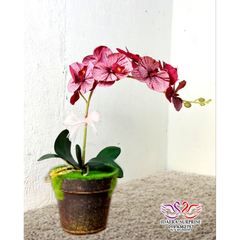 Bunga Orkid dalam Pasu Artificial Orchid in Plastic Vase Bunga Plastik ...