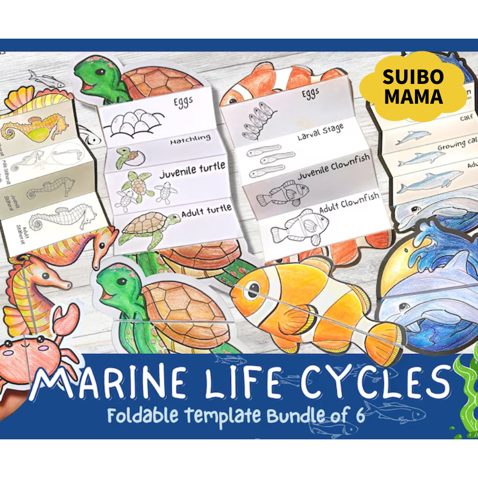 A475 – [PDF] Marine Life cycle Bundle 6 sets - science sains preschool ...