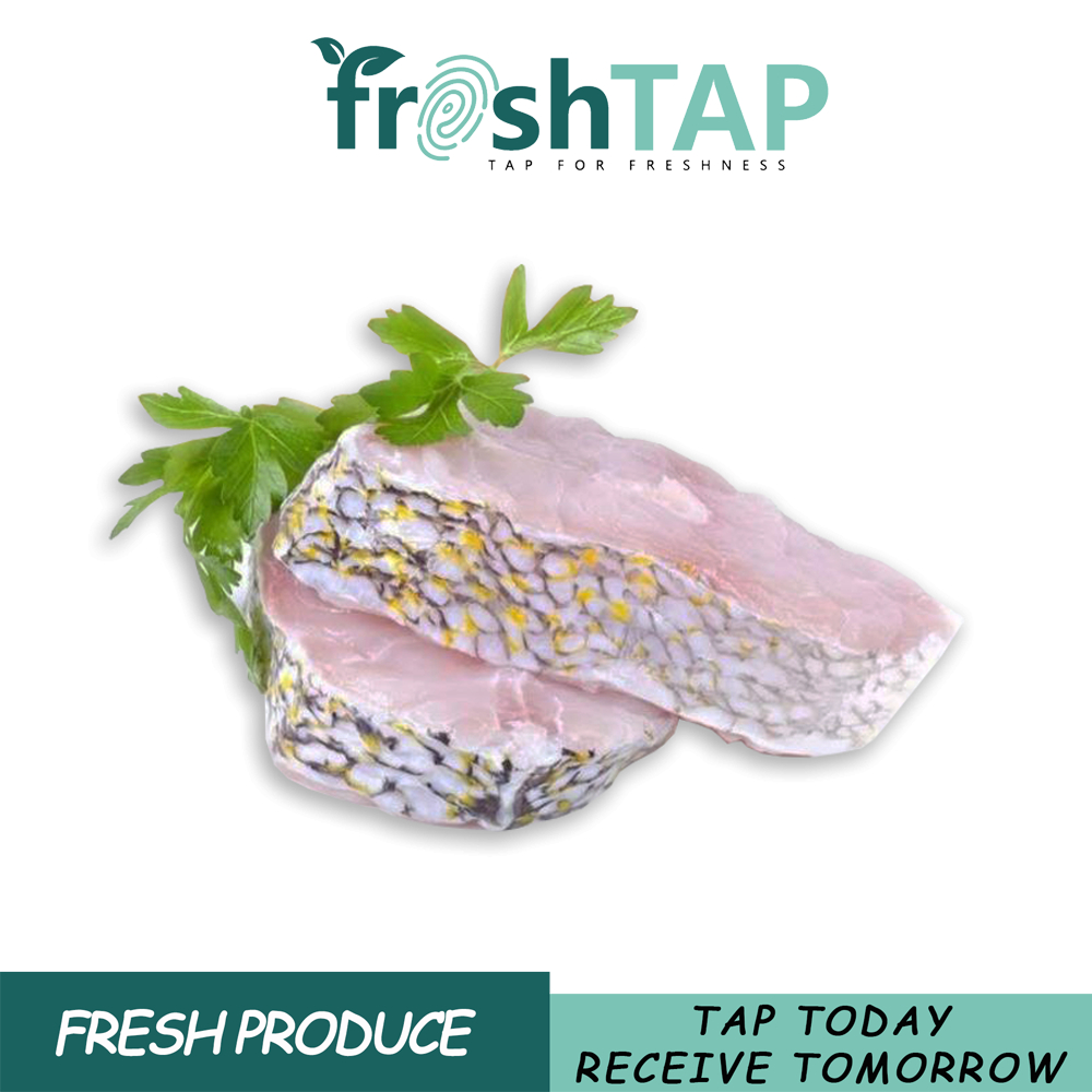 Isi Ikan Jenahak / Golden Snapper Fillet (500gm) | Shopee Malaysia