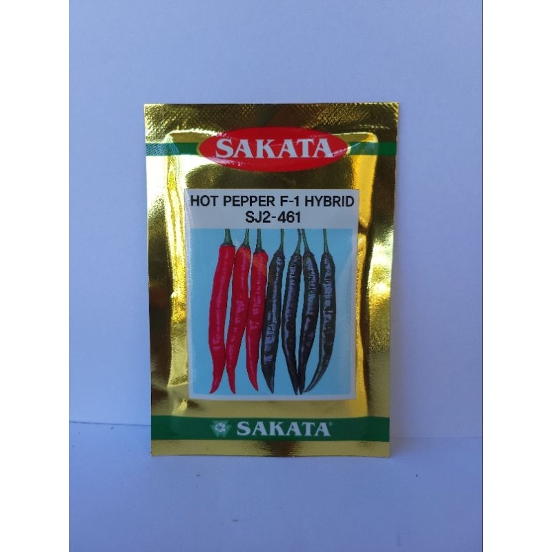 Benih Cili Kulai Sakata 461 F1 (REPACK) Kulai Minyak 10 biji/50 biji/104 biji | Shopee Malaysia