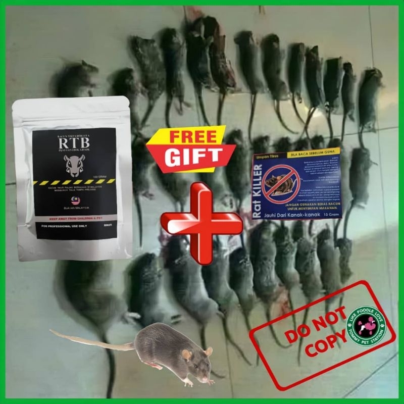 Tikus Pest Control RTV Rat Mouse Mice Control RTB Ori 100g | Shopee ...