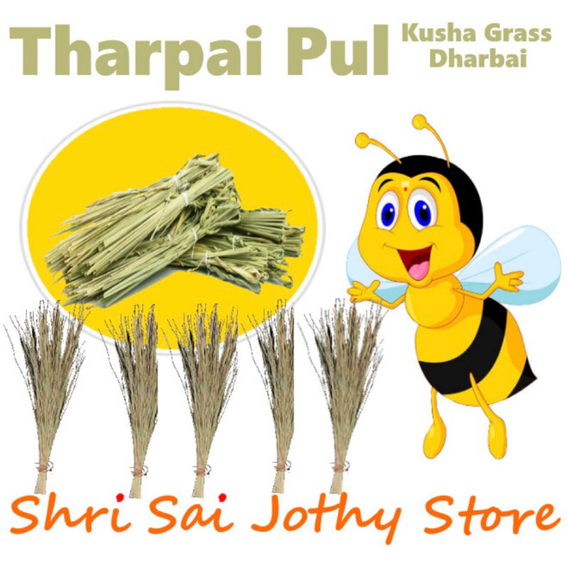 Tharpai Pul Dharbai Kusha Grass for Pooja Tharbai | Shopee Malaysia