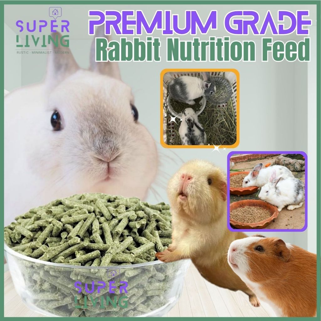 Premium Grade / Rabbit / Arnab / Rabbit Food / Makanan Hamster / Guinea ...