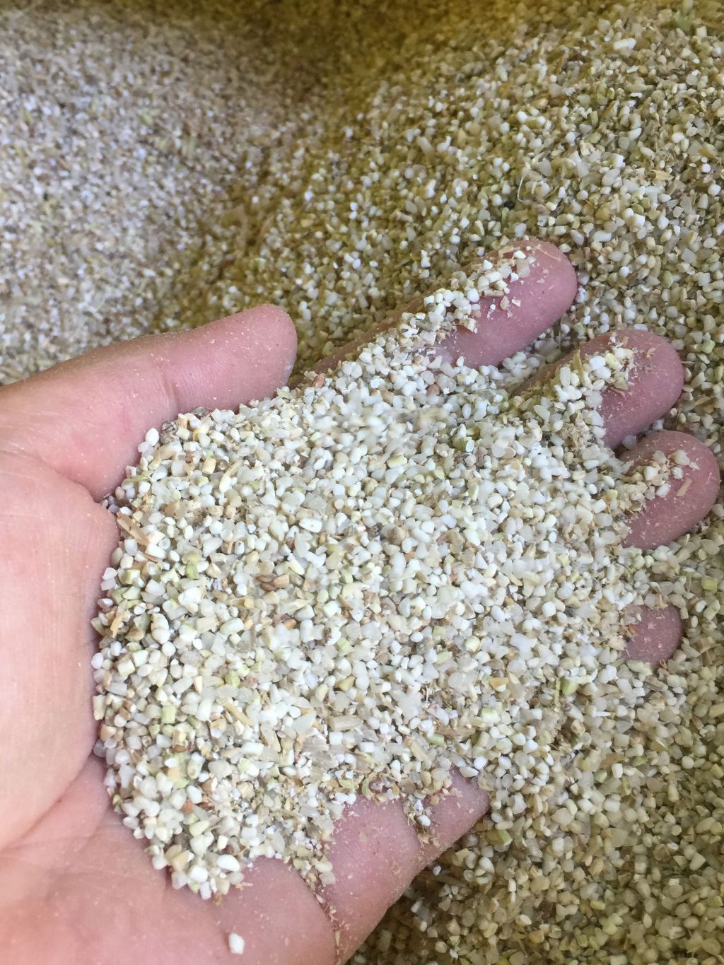 BERAS TEMUKUT/HANCUR UNTUK TERNAKAN -20KG | Shopee Malaysia