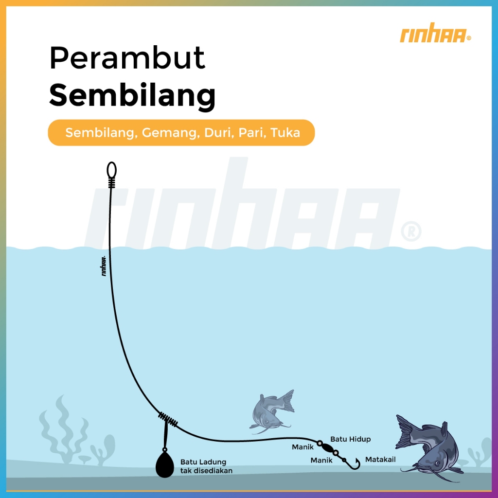 Perambut Sembilang Anti Kumpau, Target lain - Pari, Tuka, Mayong ...