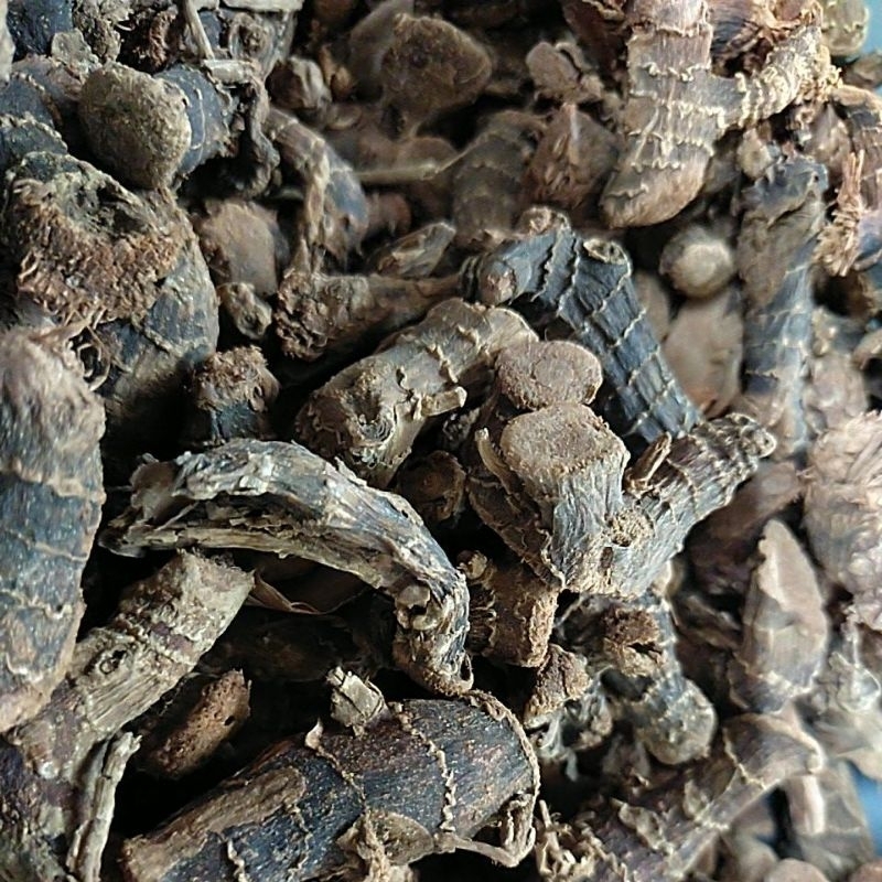 JERANGAU MERAH , LENGKUAS GENTING #galangal #sitharathai 50gram RM5 ...
