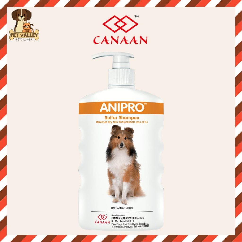 CANAAN ANIPRO Dog Sulphur Dandruff Skin Disease Shampoo (500ml ...