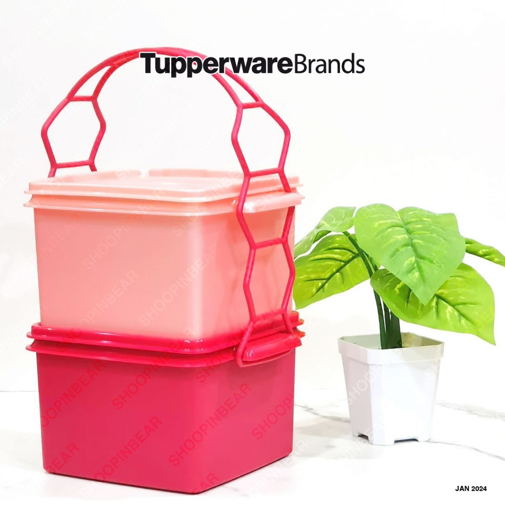 🔥VALUE BUY🔥 Tupperware Small Goody Box wt Cariolier 790ml (2 ...