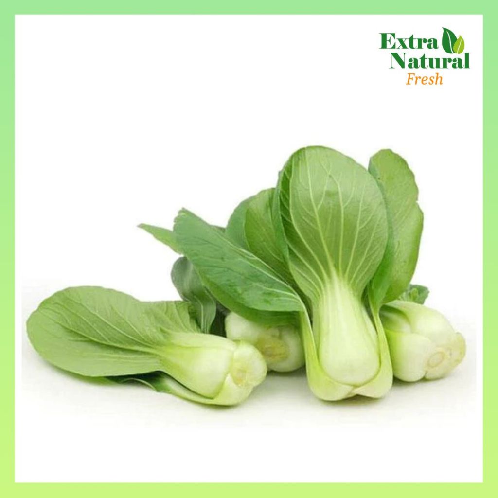 Fresh Hong Kong Baby Pak Choy 1pkt (+/-200g) |Fresh Vegetable| [Extra ...