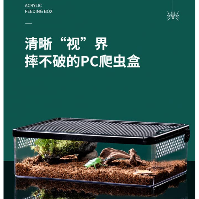 Reptile Tank Snake Spider Lizard Scorpion Horned Frog Gecko | Shopee ...