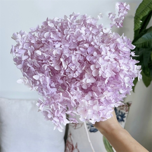 PRESERVED HYDRANGEA flower real natural DIY Surprise Gift decor Bunga ...