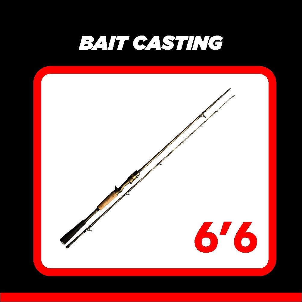 EXP ASCEND ROD 2 PCS Fishing Rod Medium Light Weight Bait Casting BC ...
