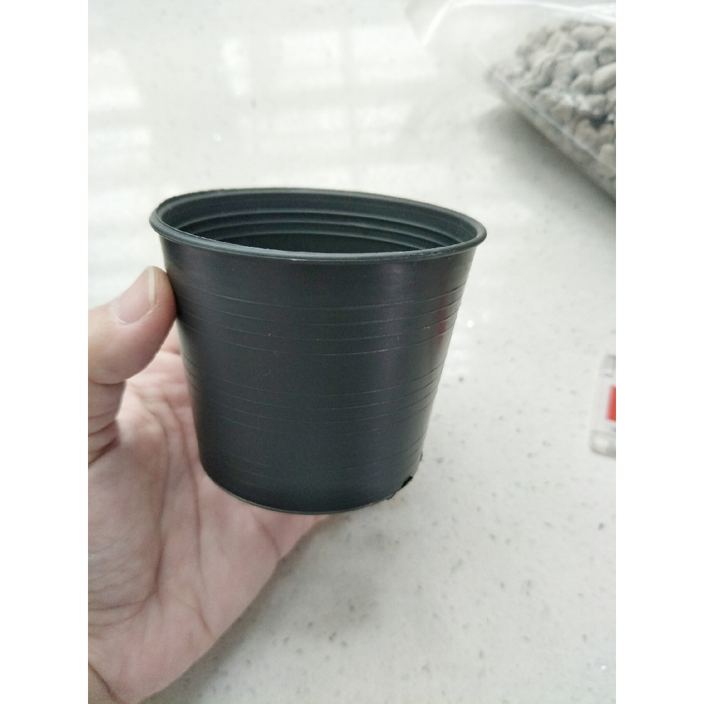 Pot hitam plastik 3inci (set 5biji/10biji) | Shopee Malaysia