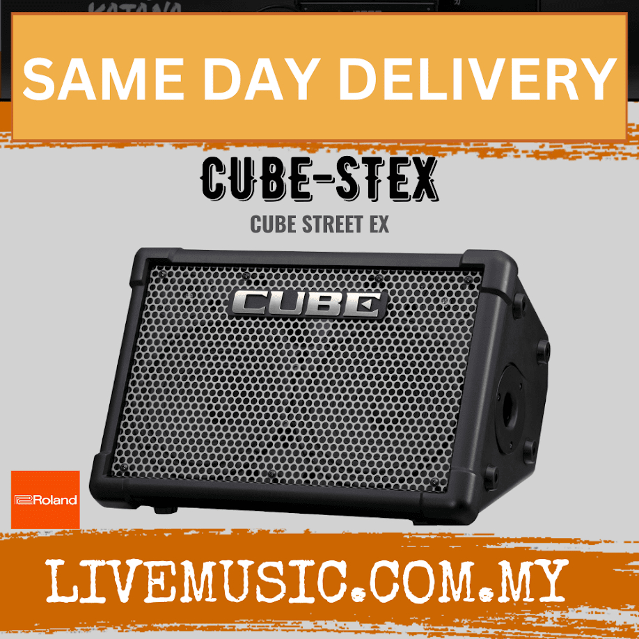 Roland CUBE STEX - Street Ex Cube 50-watt, 2x8" Battery Powered Combo Amplifier ( CUBE-STEX ...