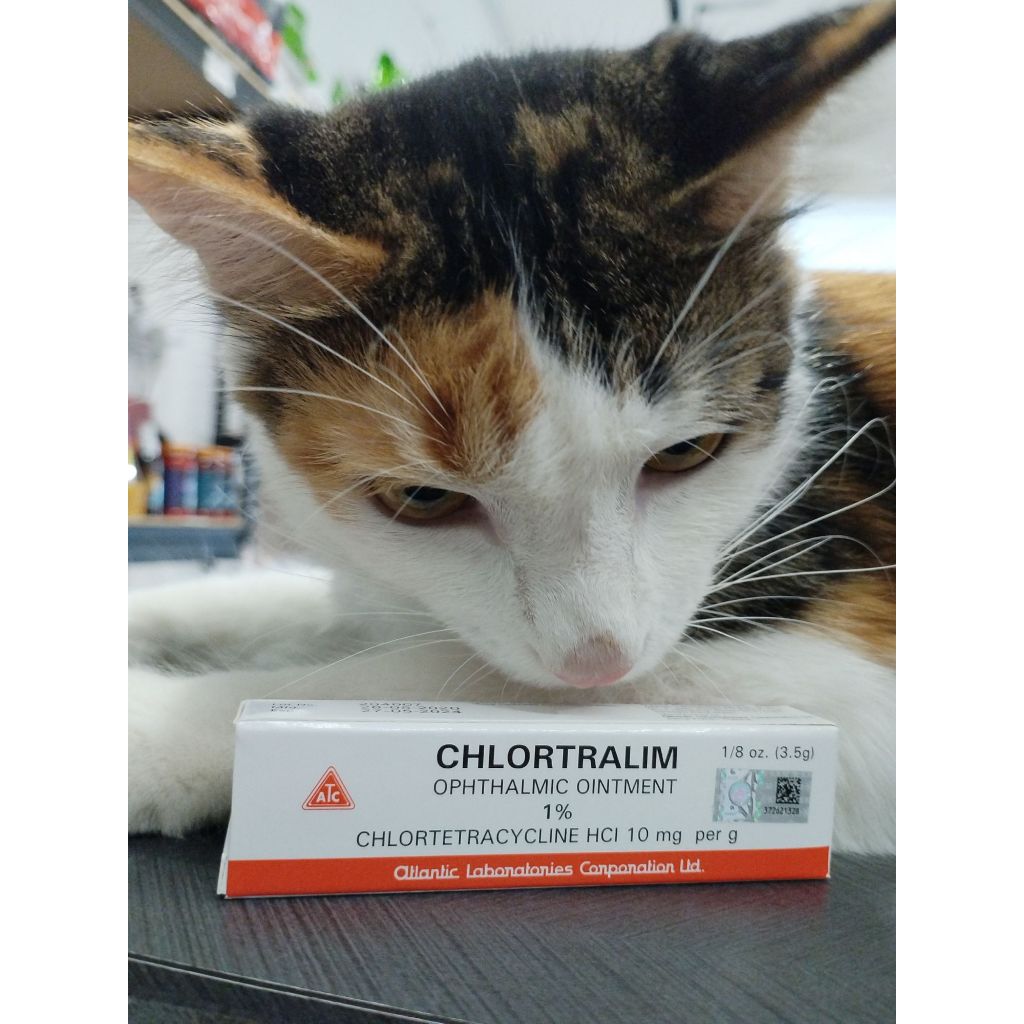 EXP24 Ubat mata kucing /anak kucing dewasa kucing-Chlortralim ...