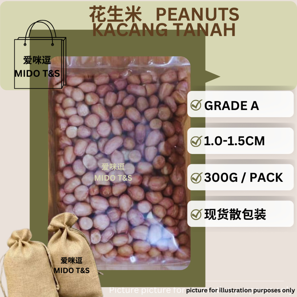 Kacang Tanah 花生 煲汤 Peanut Ground Nut Satay Kuih 白衣花生 300g | Shopee Malaysia