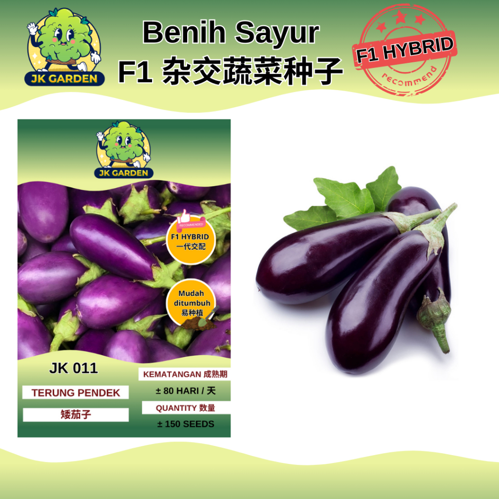 【Repack F1 Hybrid biji benih】Benih Terung Pendek / F1家庭园艺矮茄种子 | Shopee ...