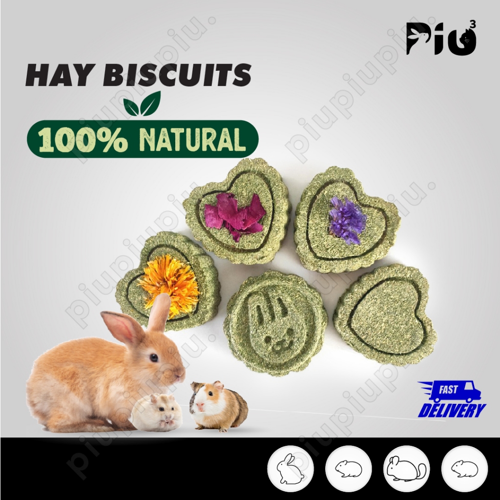 [24HR SHIP] HOMEMADE HAY MOLAR BISCUITS 1PCS 自制磨牙草饼 For Guinea Pig ...