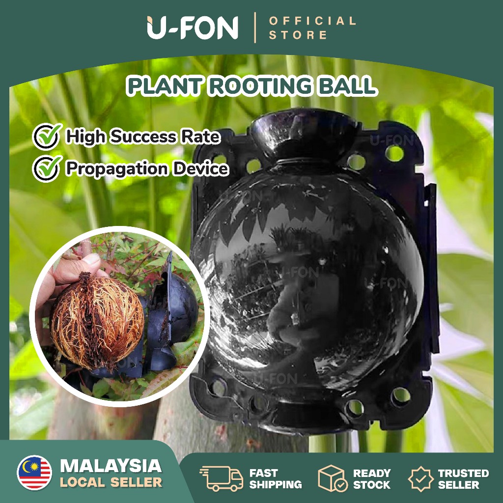 Plant Rooting Ball Propagating Device Garden Fruit Tree Seeding ...
