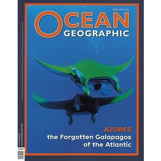OCEAN GEOGRAPHIC (Single Issue) | Shopee Malaysia