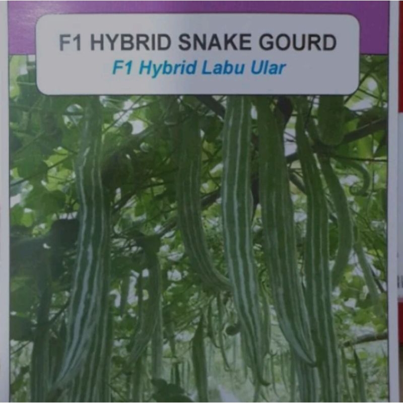 BENIH LABU ULAR/PETULA ULAR/ PERIA @ SNAKE GOURD (5 BIJI) | Shopee Malaysia