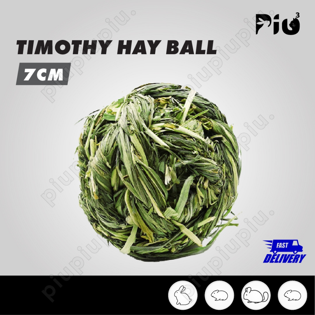 [24HR SHIP] NATURAL TIMOTHY BALL Small Pets Chew Toys Molar Toys Rabbit ...
