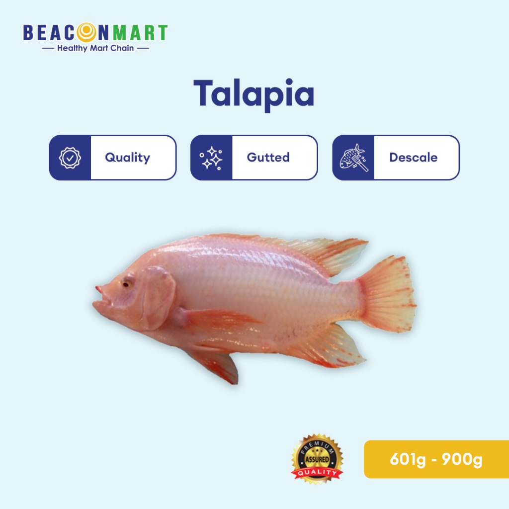 Beacon Mart Seafood Fresh Frozen Talapia | Farm-Raised | 非洲鱼 | Shopee ...