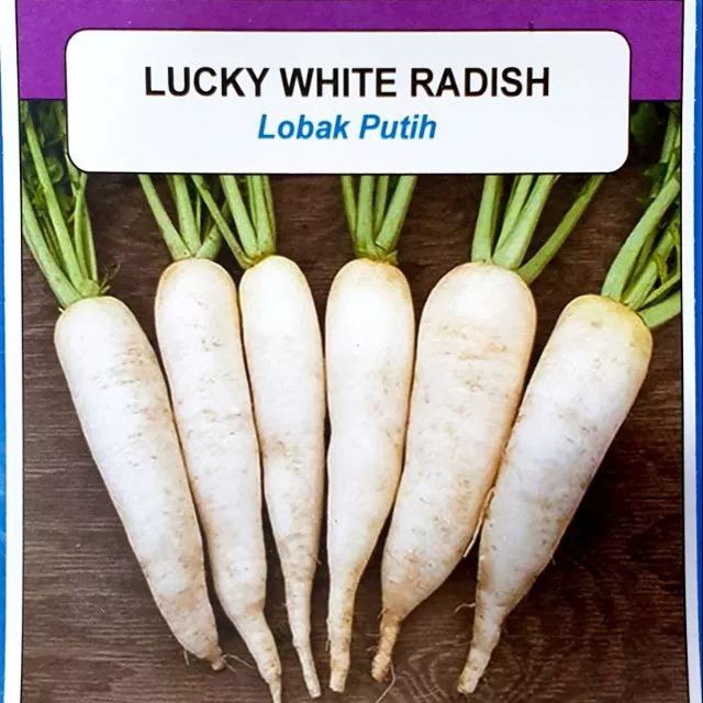 Benih Lobak Putih @ White Lucky Radish (5 gram) | Shopee Malaysia