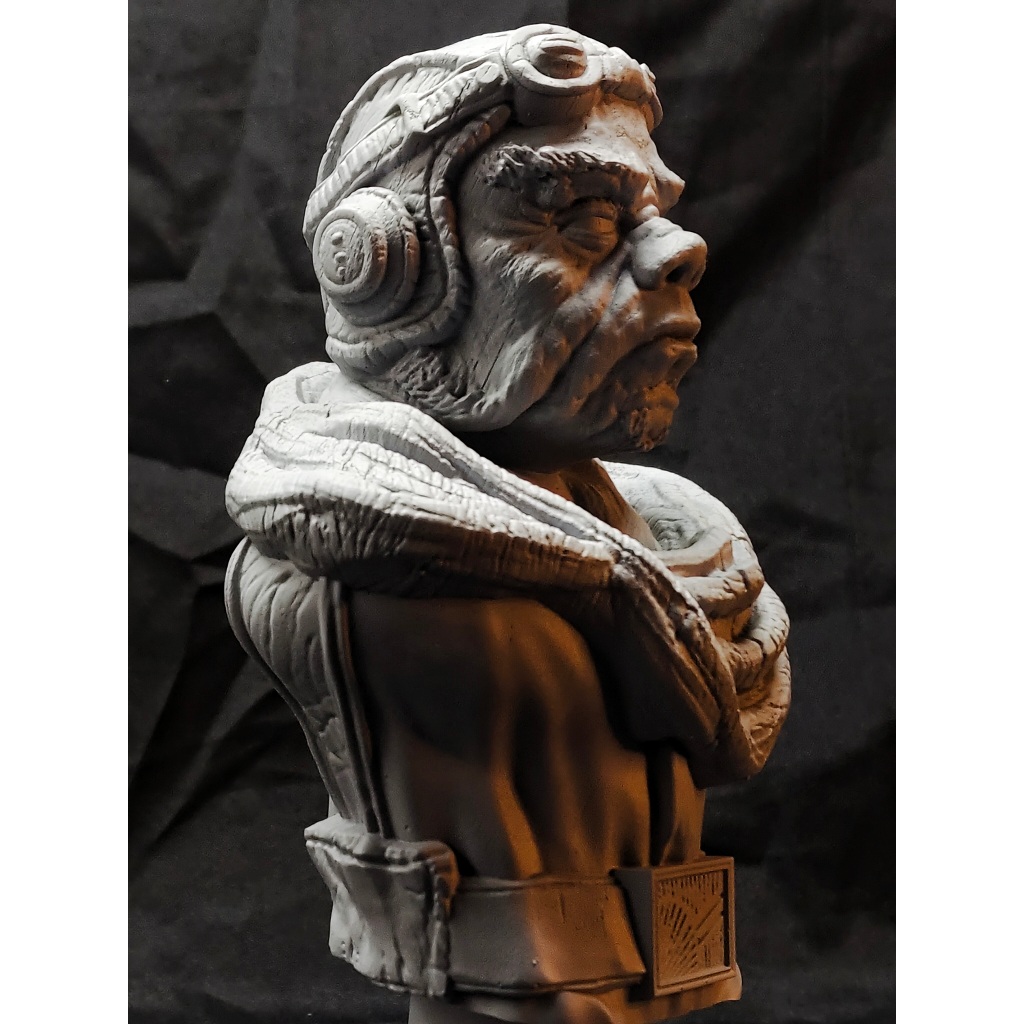 Kuiil The Repairer Bust - resin 3D printed model kit ( primer surface ...