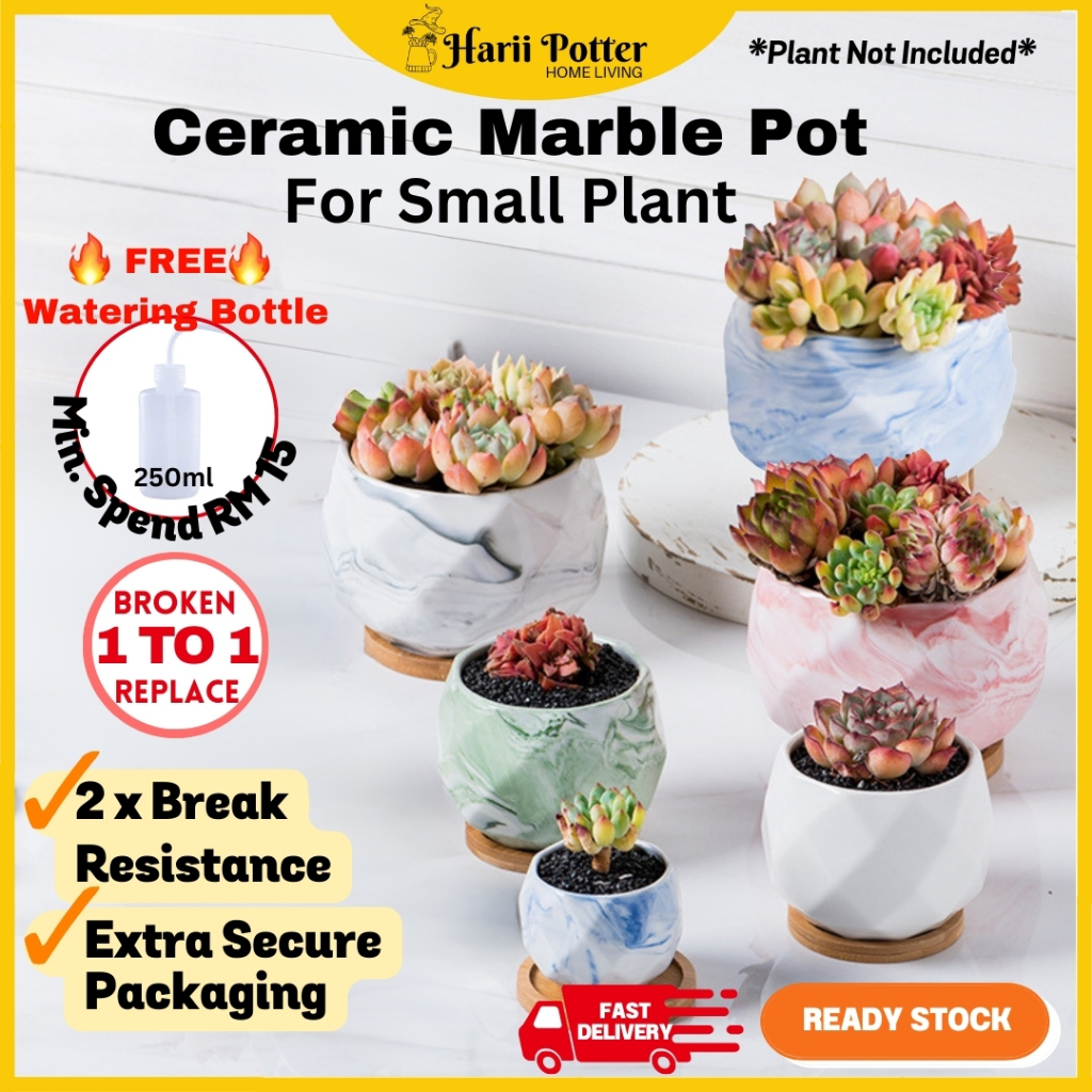 Aesthetic Ceramic Pot Marble Series Faceted Colorful For Succulent ...