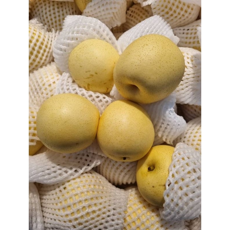 1kg Buah Century Pear Segar | Shopee Malaysia