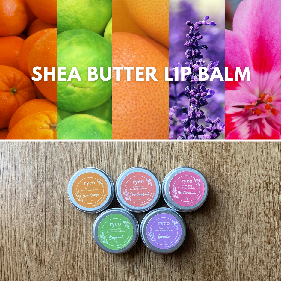 ryeo Shea Butter Essential Oil Lip Balm 10g | Shopee Malaysia