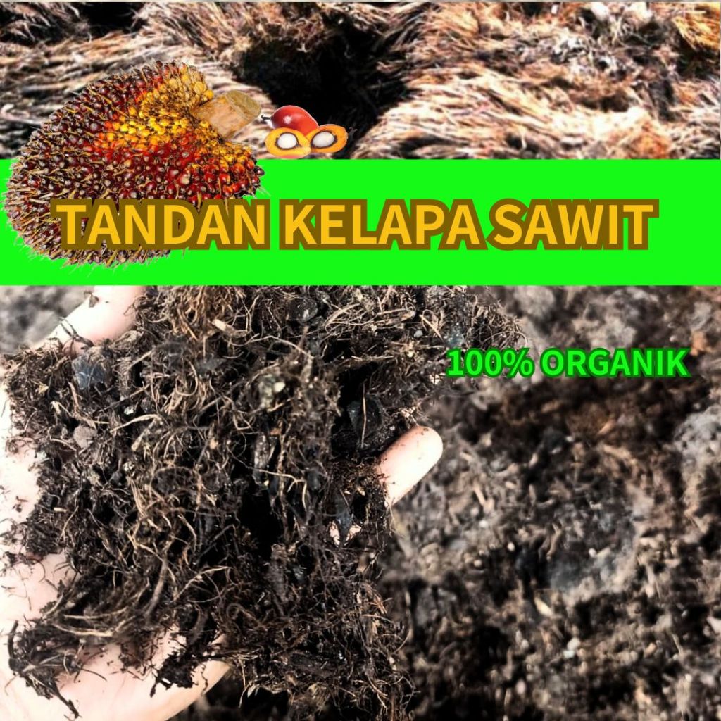 100% organik 1KG Tanah Sawit Mendapan Organik Organic Soil Tanah ...