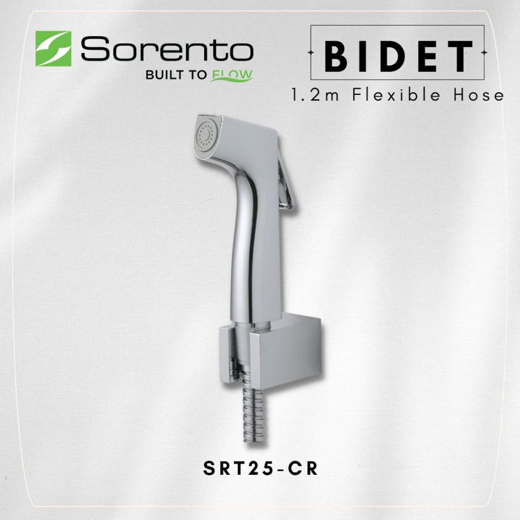 CABANA ABS Material Chrome Finish Two Way Faucet Bidet Spray Set With ...