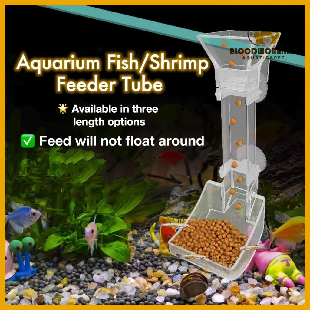 AQUARIUM Feeder Tube Small Fish Shrimp Food Feeding Fish Tank Feeder ...