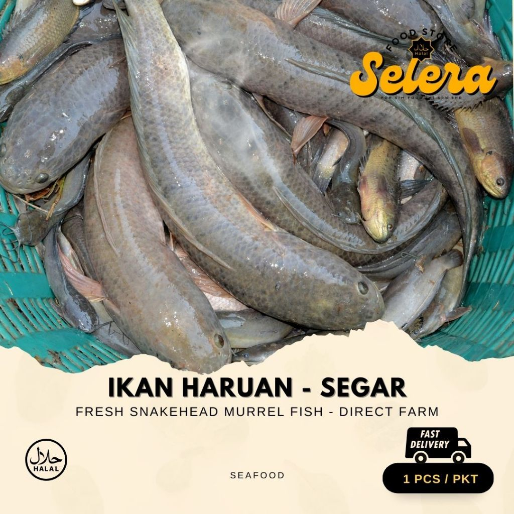 【SELERA】IKAN HARUAN SEGAR | Shopee Malaysia