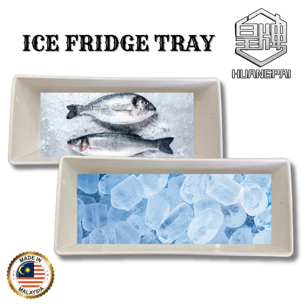 [APPLELADY] Ice Tray/ Fridge Tray/ Fish Tray/ Multipurpose Tray/ Bekas ...