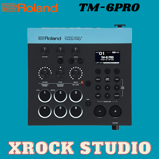 Roland TM-6 PRO Acoustic Drum Trigger Module (TM6/TM6PRO/TM-6PRO ...