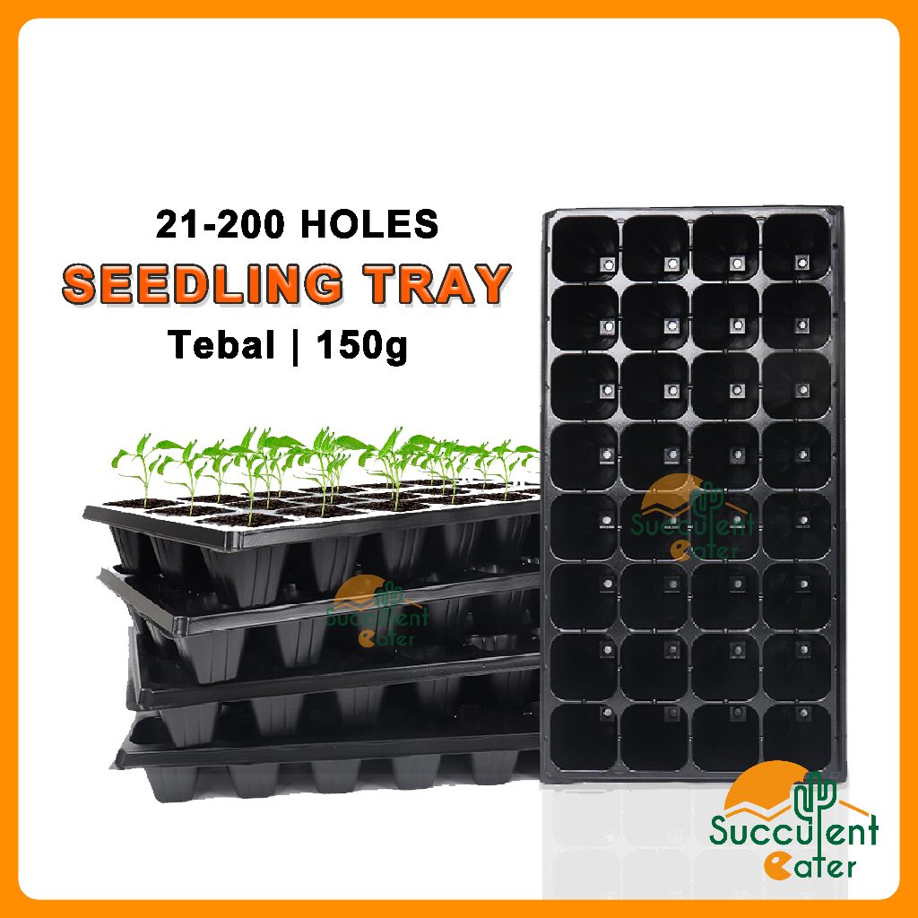Seedling Tray Bekas Semaian Biji Benih Seed High Quality Square Thick ...