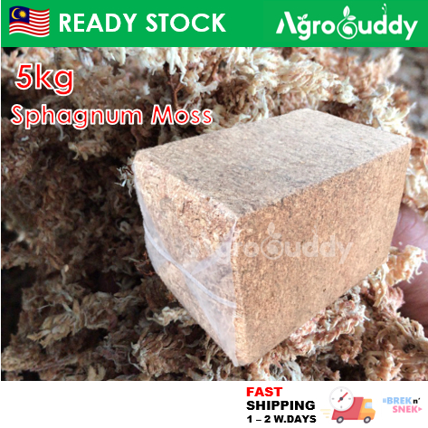 [5KG]AgroBuddy High Quality Sphagnum Moss Phalaenopsis Orchid Bonsai ...