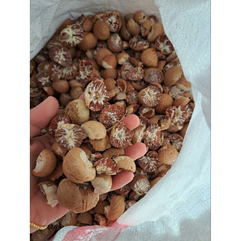 Biji Pinang Gred B Borong 1kg | Shopee Malaysia