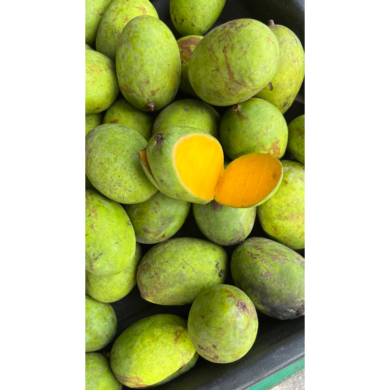 Buah Kuinin kecil fresh 1kg+- 🔥 | Shopee Malaysia