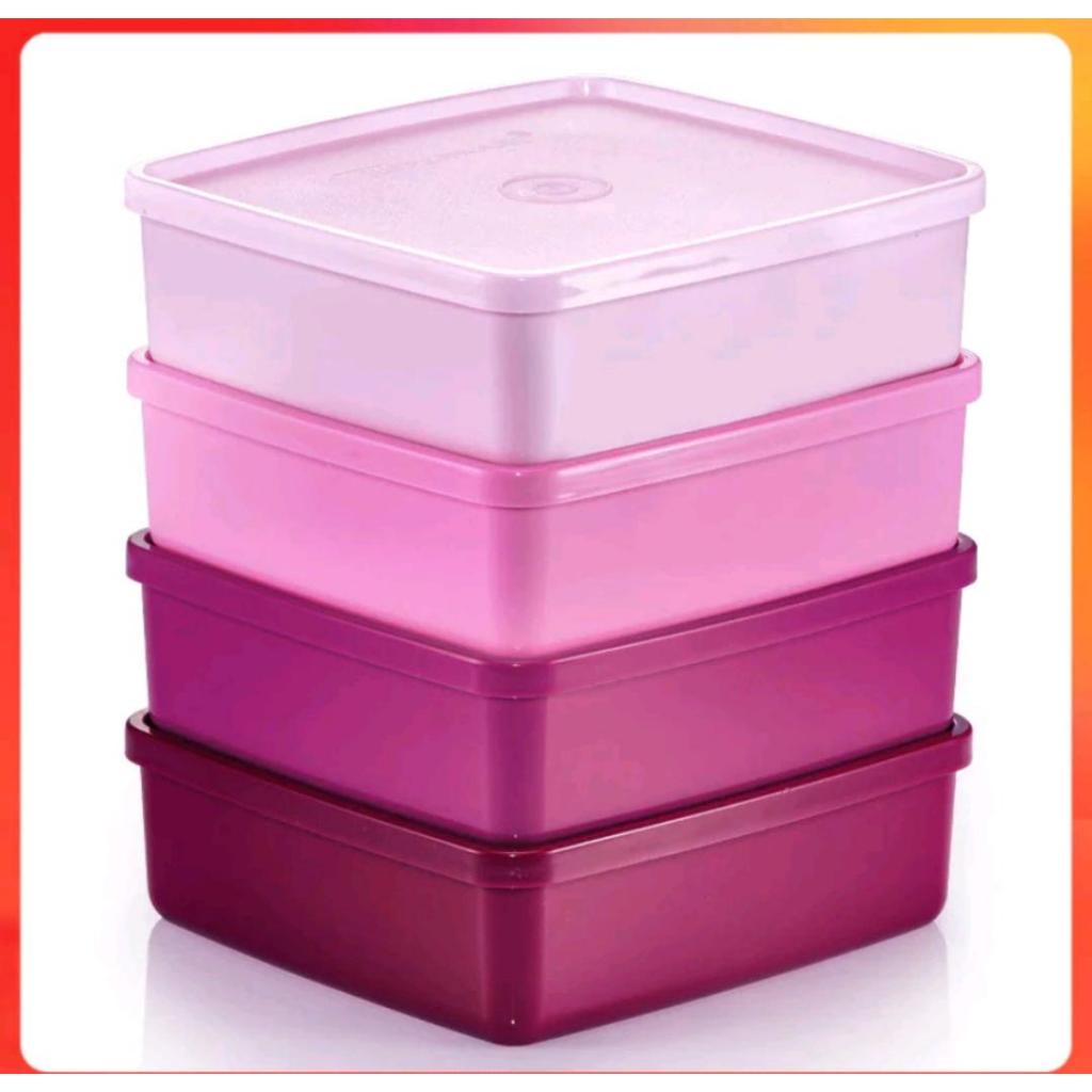 Tupperware large square away (1) colour random | Shopee Malaysia