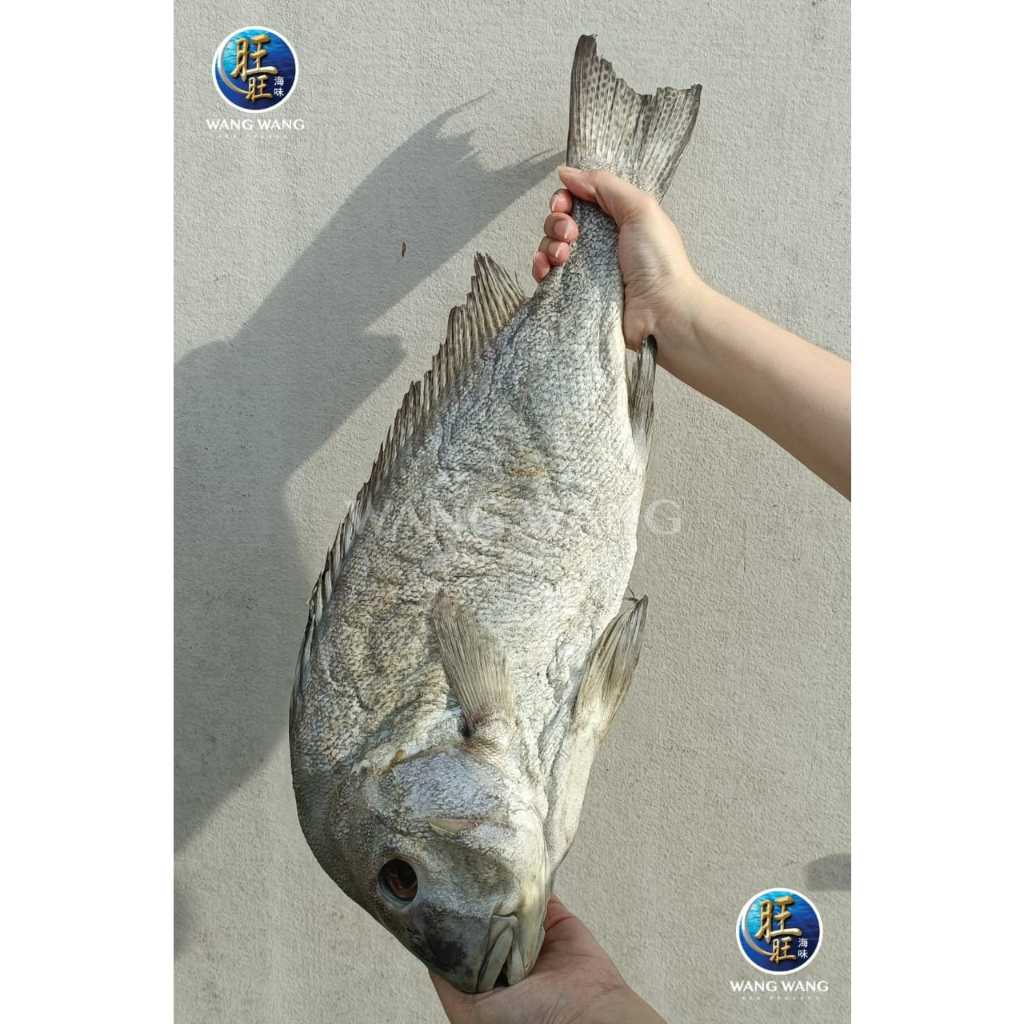 梅香咸鱼 【加志鱼 KACI】Mui Heong Salted Fish | Shopee Malaysia